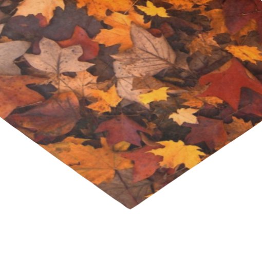 Autumn Leaves Tissue Paper | Zazzle