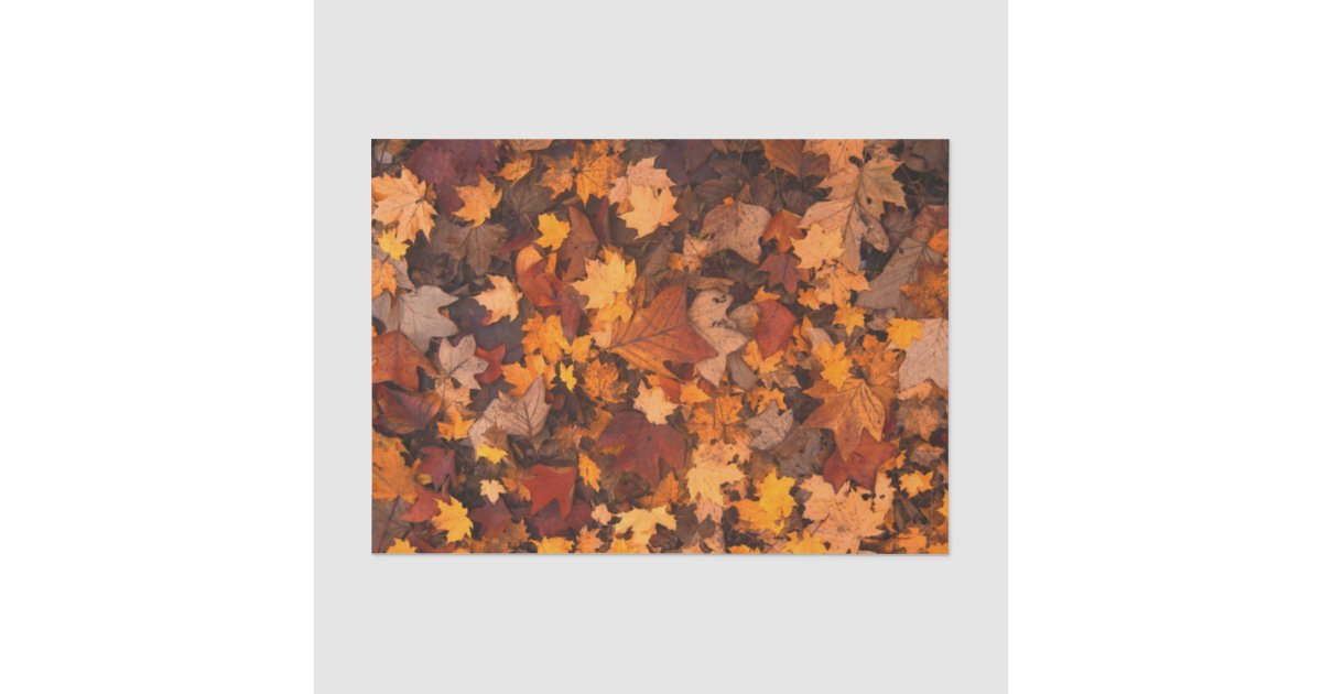 Autumn Leaves Tissue Paper | Zazzle