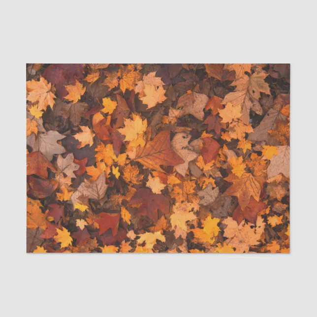 Autumn Leaves Tissue Paper | Zazzle