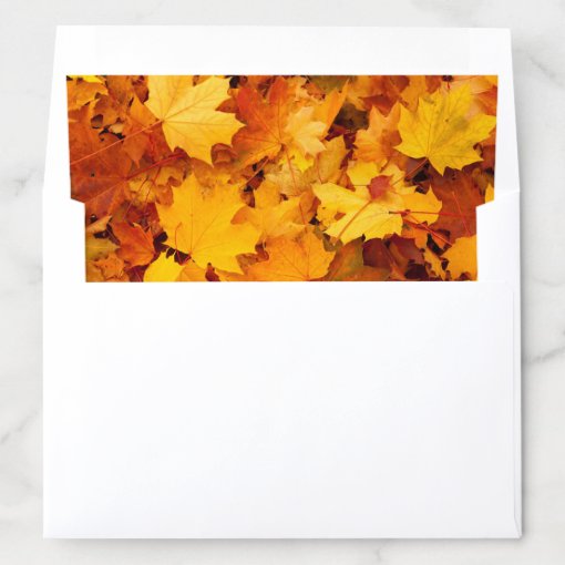 Autumn Maple Golden Leaves Envelope Liner | Zazzle