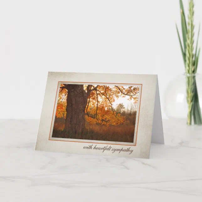 Autumn Oak Sympathy Card | Zazzle
