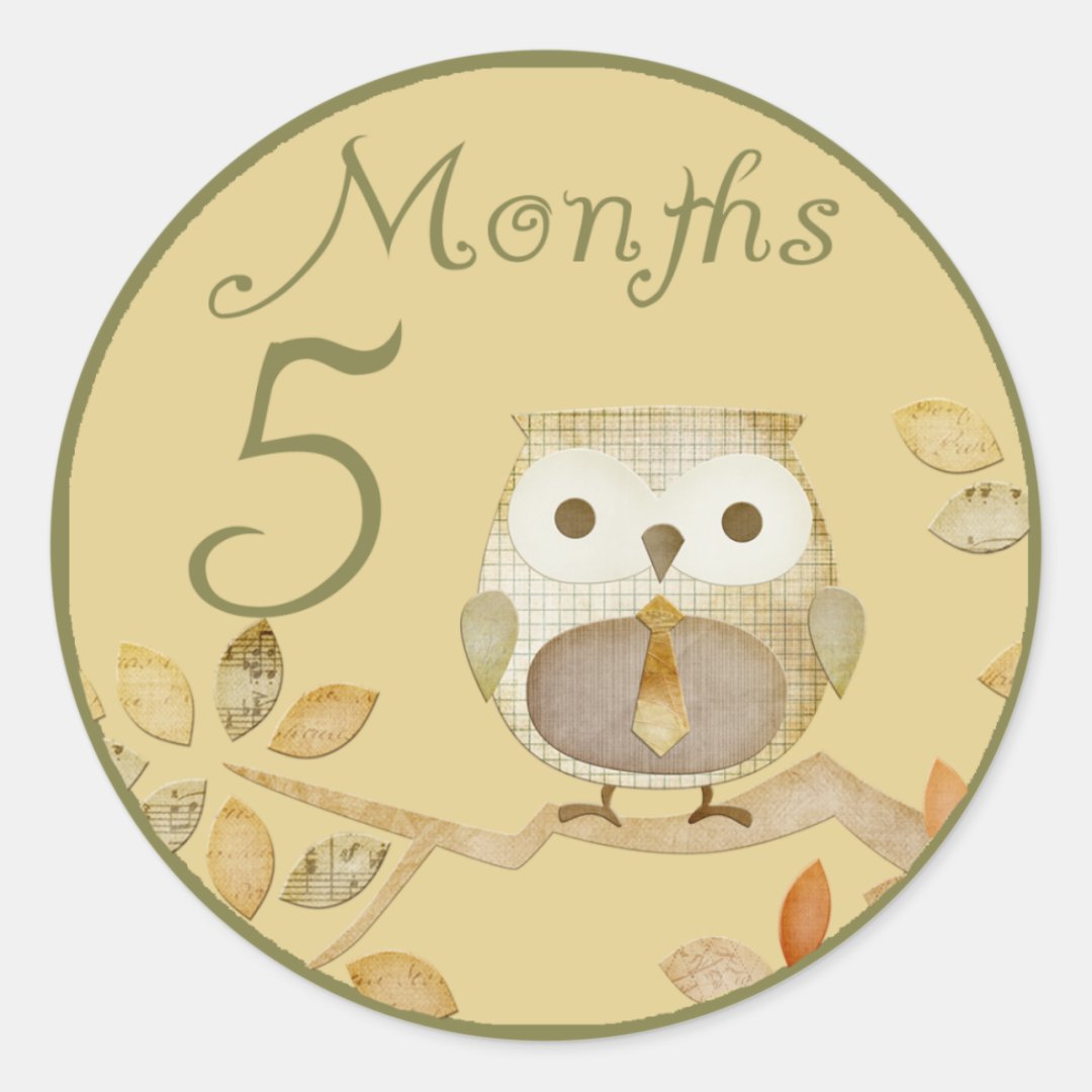 Autumn Owl 5 Months Sticker | Zazzle