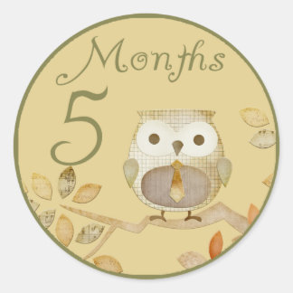 5 Months Stickers | Zazzle