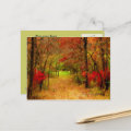 Autumn Path in Forest Thanksgiving Postcard | Zazzle