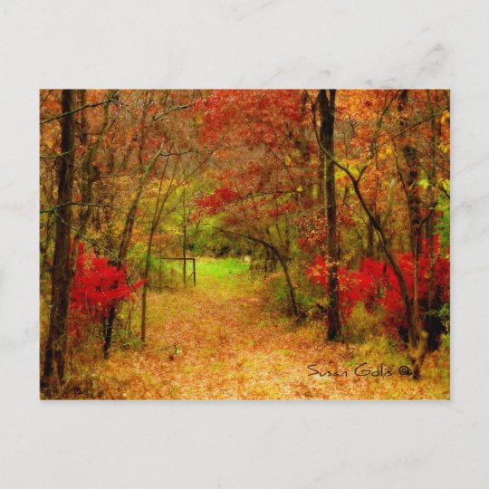 Autumn Path in Forest Thanksgiving Postcard | Zazzle.com