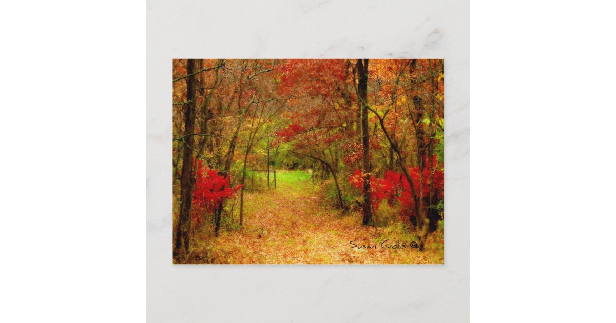 Autumn Path in Forest Thanksgiving Postcard | Zazzle