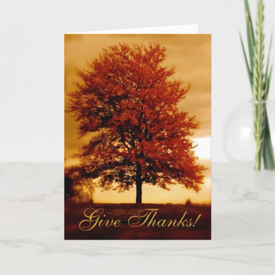 Autumn Photograph Custom Thanksgiving Card | Zazzle.com