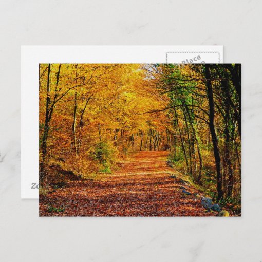 Autumn Postcard | Zazzle