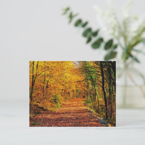 Autumn Postcard | Zazzle