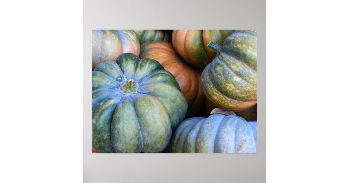 Autumn Pumpkins Poster | Zazzle