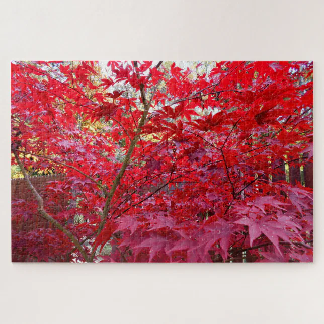 Autumn Red Maple Tree Jigsaw Puzzle | Zazzle