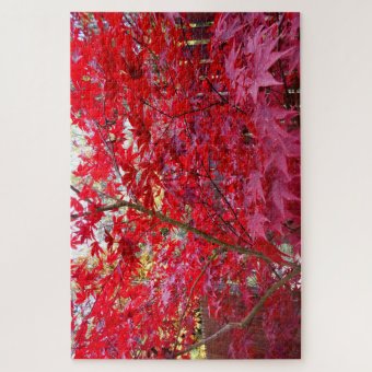 Autumn Red Maple Tree Jigsaw Puzzle | Zazzle
