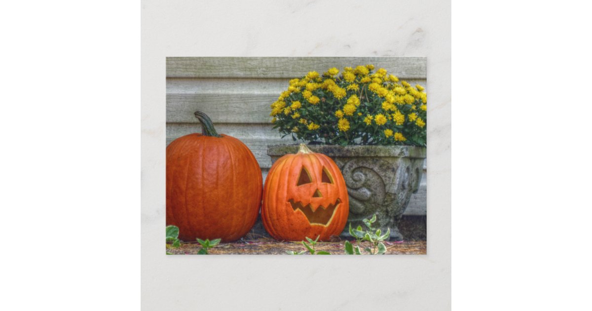 Autumn Scene Post Card | Zazzle