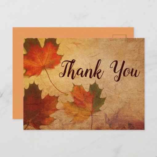 Autumn themed Fall Leaves Postcard | Zazzle