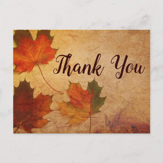 Autumn themed Fall Leaves Postcard | Zazzle.com