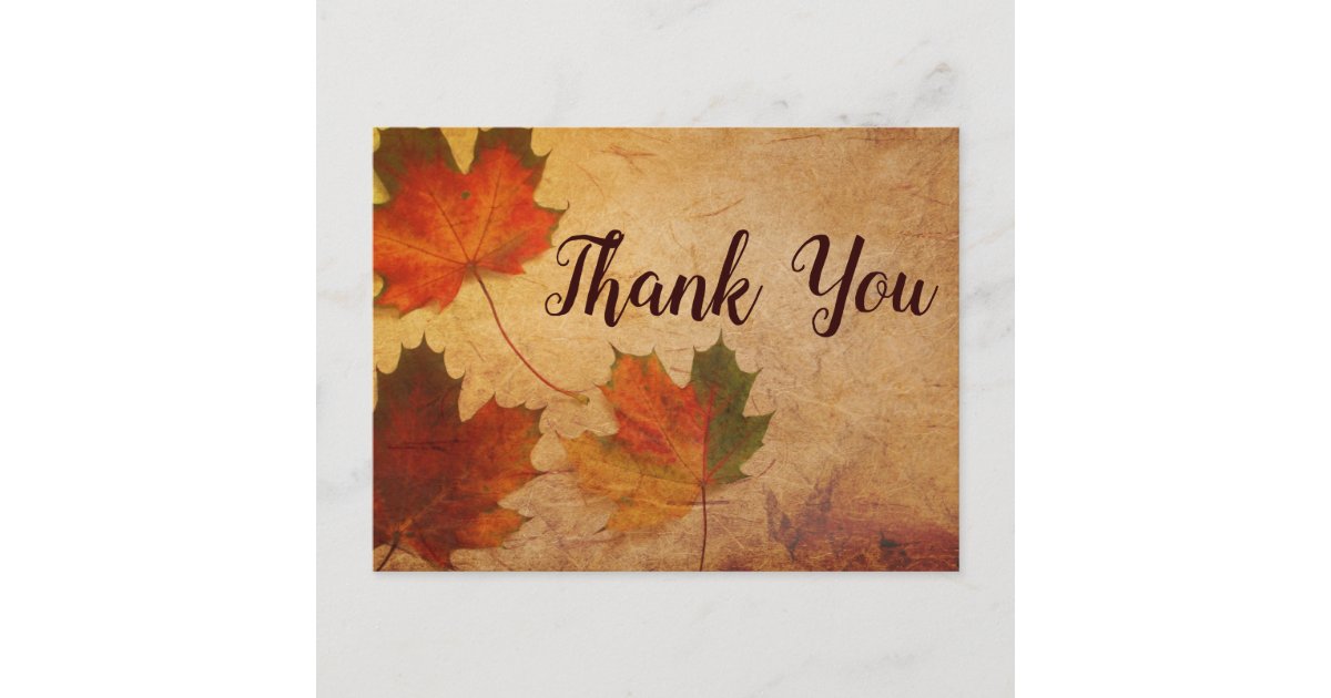 Autumn themed Fall Leaves Postcard | Zazzle
