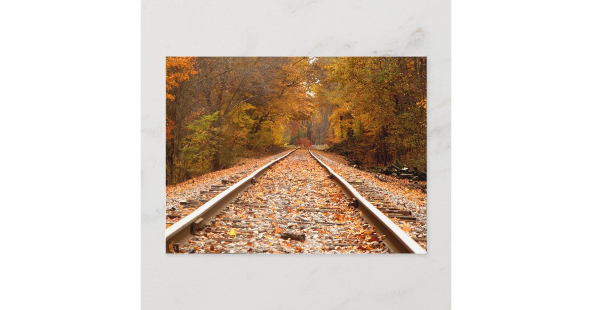 Autumn Tracks postcard | Zazzle