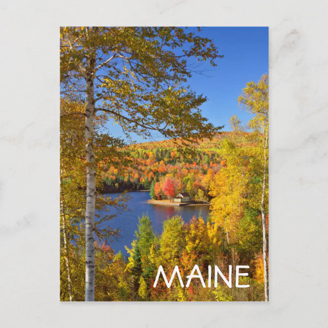 Autumn tree landscape, Maine Postcard | Zazzle