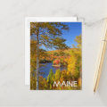 Autumn tree landscape, Maine Postcard | Zazzle