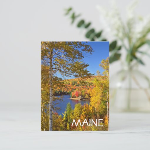 Autumn tree landscape, Maine Postcard | Zazzle
