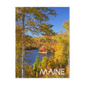 Autumn tree landscape, Maine Postcard | Zazzle