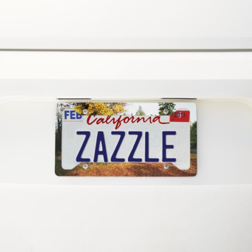 Autumn Trees and Leaves on Ground License Plate Frame | Zazzle