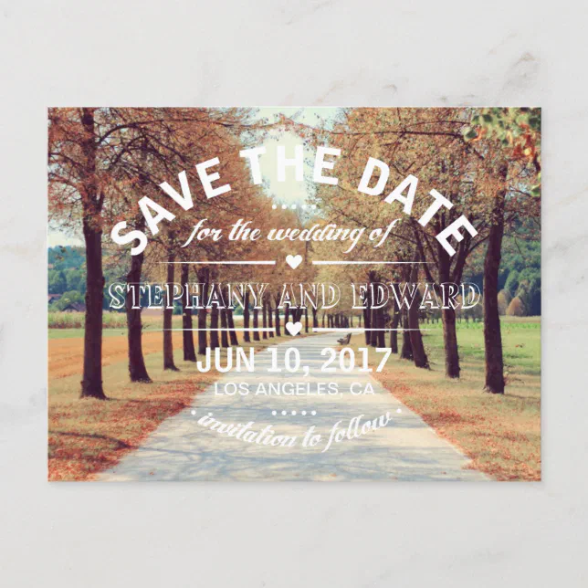 Autumn Trees Avenue Save the Date Postcard Wording | Zazzle