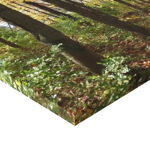 Autumn Trees on Walking Path Large Canvas Print | Zazzle