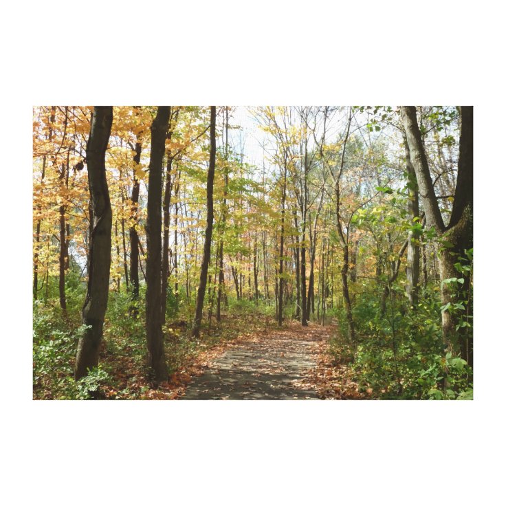 Autumn Trees on Walking Path Large Canvas Print | Zazzle