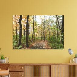 Autumn Trees on Walking Path Large Canvas Print | Zazzle