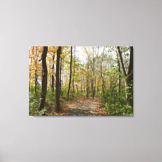 Autumn Trees on Walking Path Large Canvas Print | Zazzle