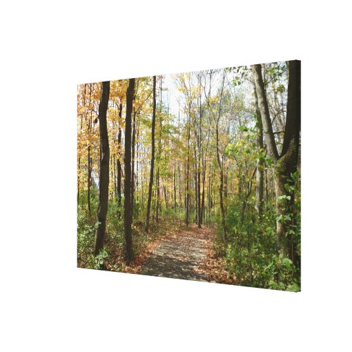 Autumn Trees on Walking Path Large Canvas Print | Zazzle