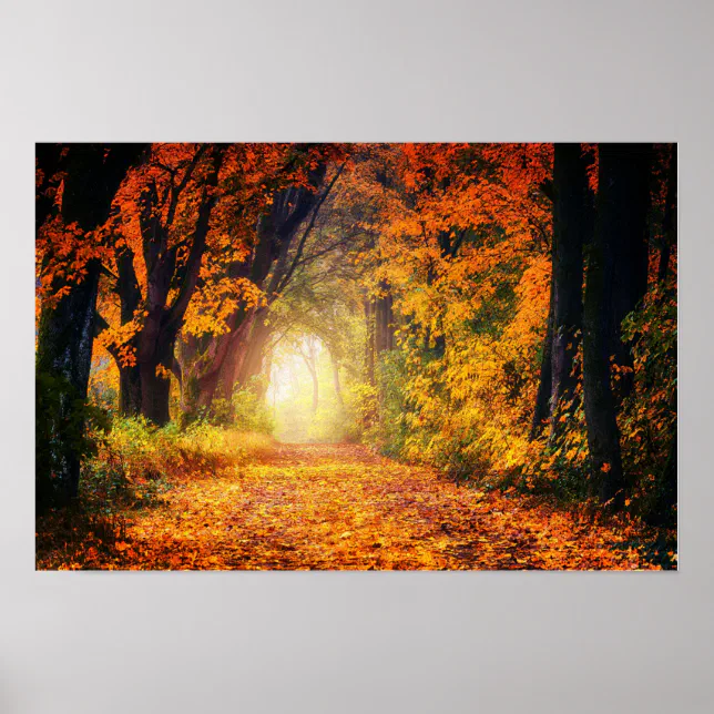 Autumn Tunnel Poster | Zazzle