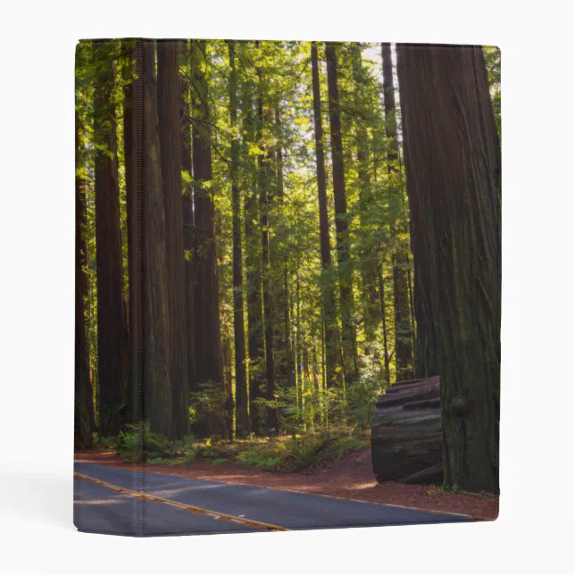 Avenue of Giant Redwood California Mini Binder | Zazzle