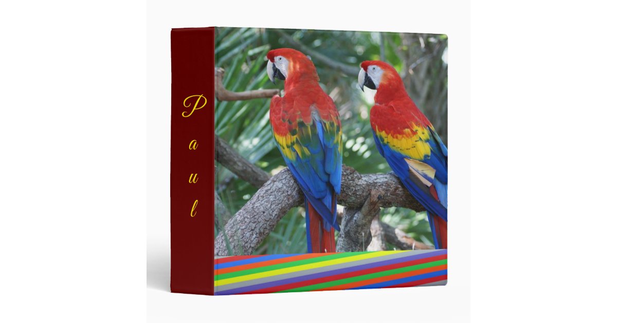 Avery Signature Binder African Birds | Zazzle