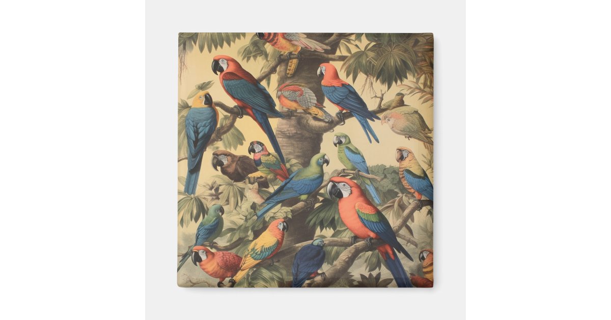 Avian Gathering & Tropical Canopy Assembly Magnet | Zazzle