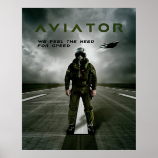 Fighter Pilot Motivational Posters