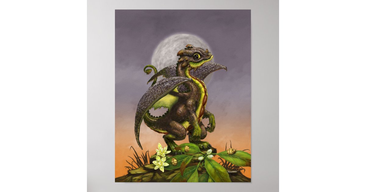 Avocado Dragon 11x14 (4x6 and up) Poster | Zazzle