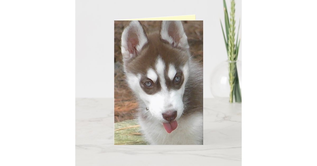 AW- Siberian Husky Birthday Card | Zazzle