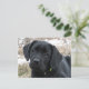 Awaiting Spring - Labrador Puppy - Black Lab Postcard | Zazzle