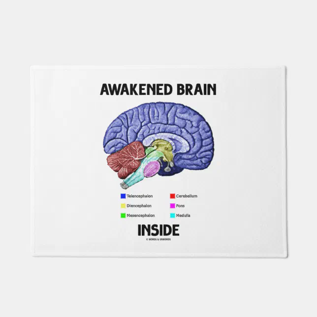 Awakened Brain Inside Brain Anatomy Geek Humor Doormat | Zazzle