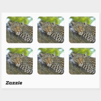 Awesome Leopard Square Sticker | Zazzle