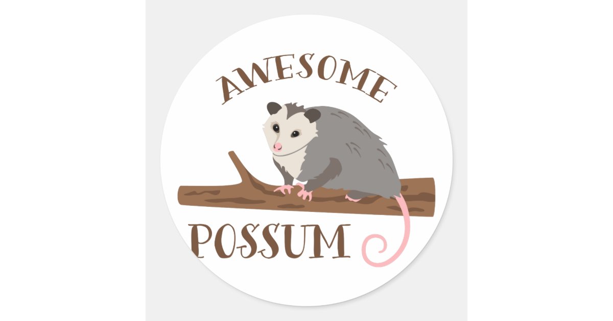Awesome Possum Classic Round Sticker | Zazzle