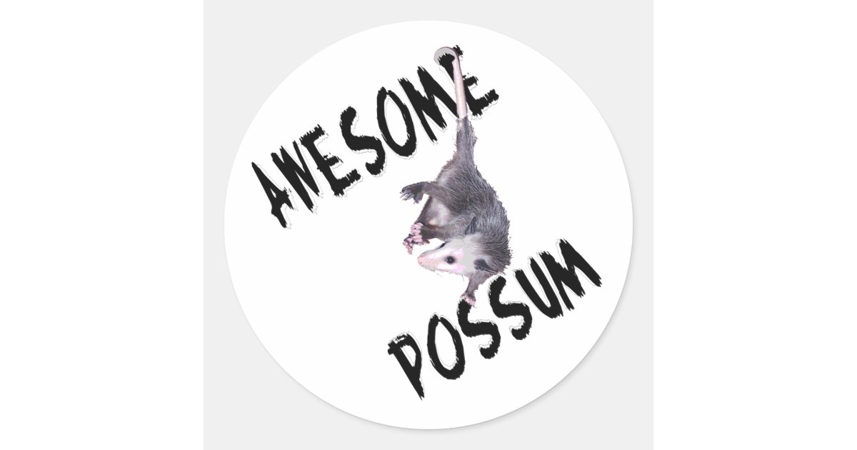 Awesome Possum Opossum Classic Round Sticker | Zazzle