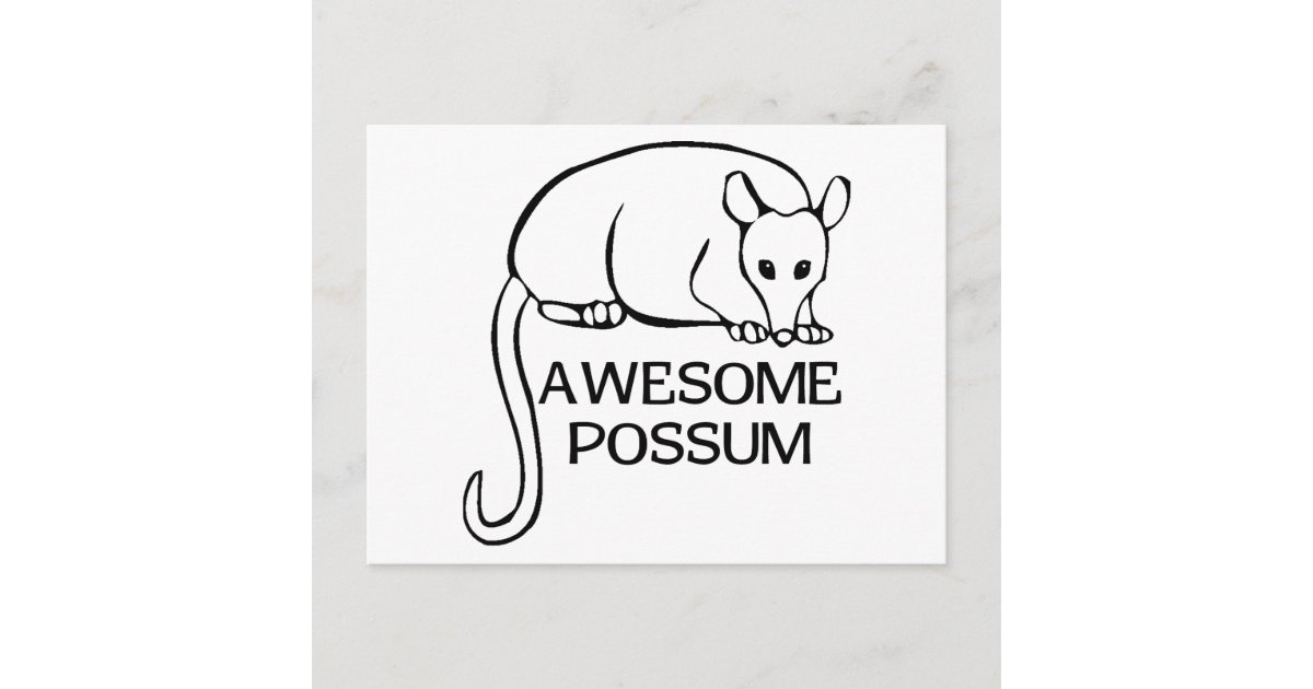 Awesome Possum Postcard | Zazzle