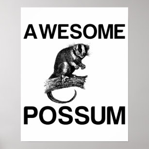 Possum Posters & Prints | Zazzle