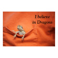 awesome poster for the reptile/bearded dragon fan | Zazzle