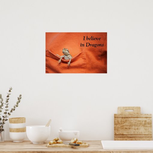 awesome poster for the reptile/bearded dragon fan | Zazzle