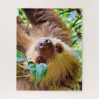 sloth jigsaw puzzle | Zazzle.com