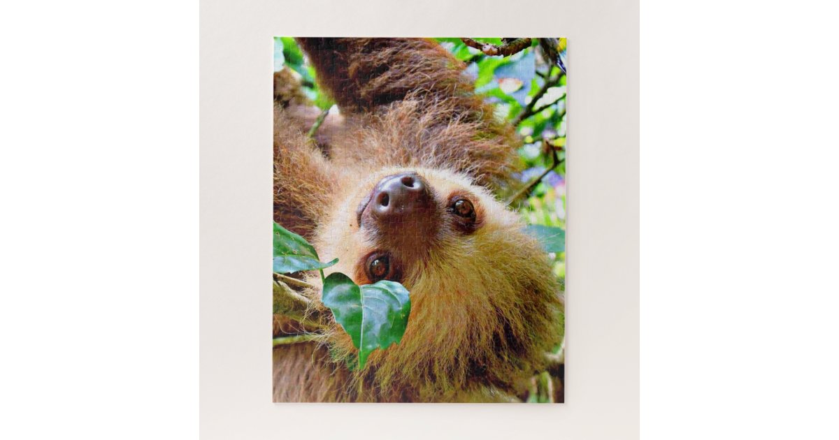 awesome Sloth Jigsaw Puzzle | Zazzle